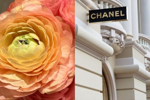 What is the Etiquette of Wearing Perfume - Manners To Go™